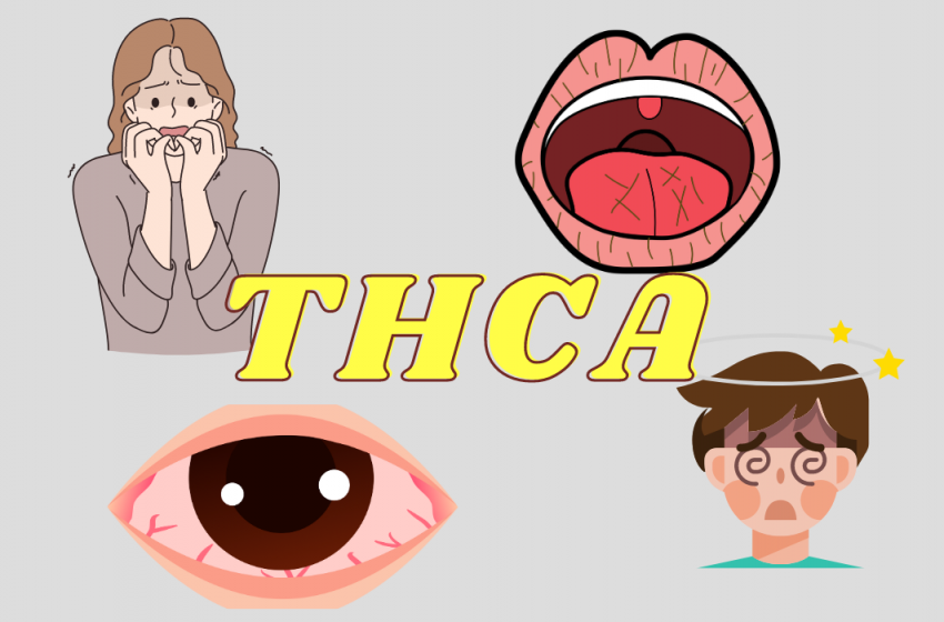 THCA Side Effects THCA Side Effects