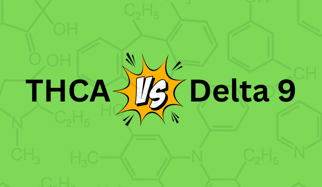 THCA vs THC: 7 Key Differences