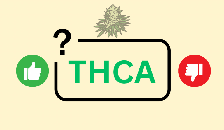 THCA vs THC: 7 Key Differences