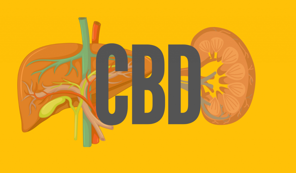 The Long-Term Effects of CBD: 10 Key Insights